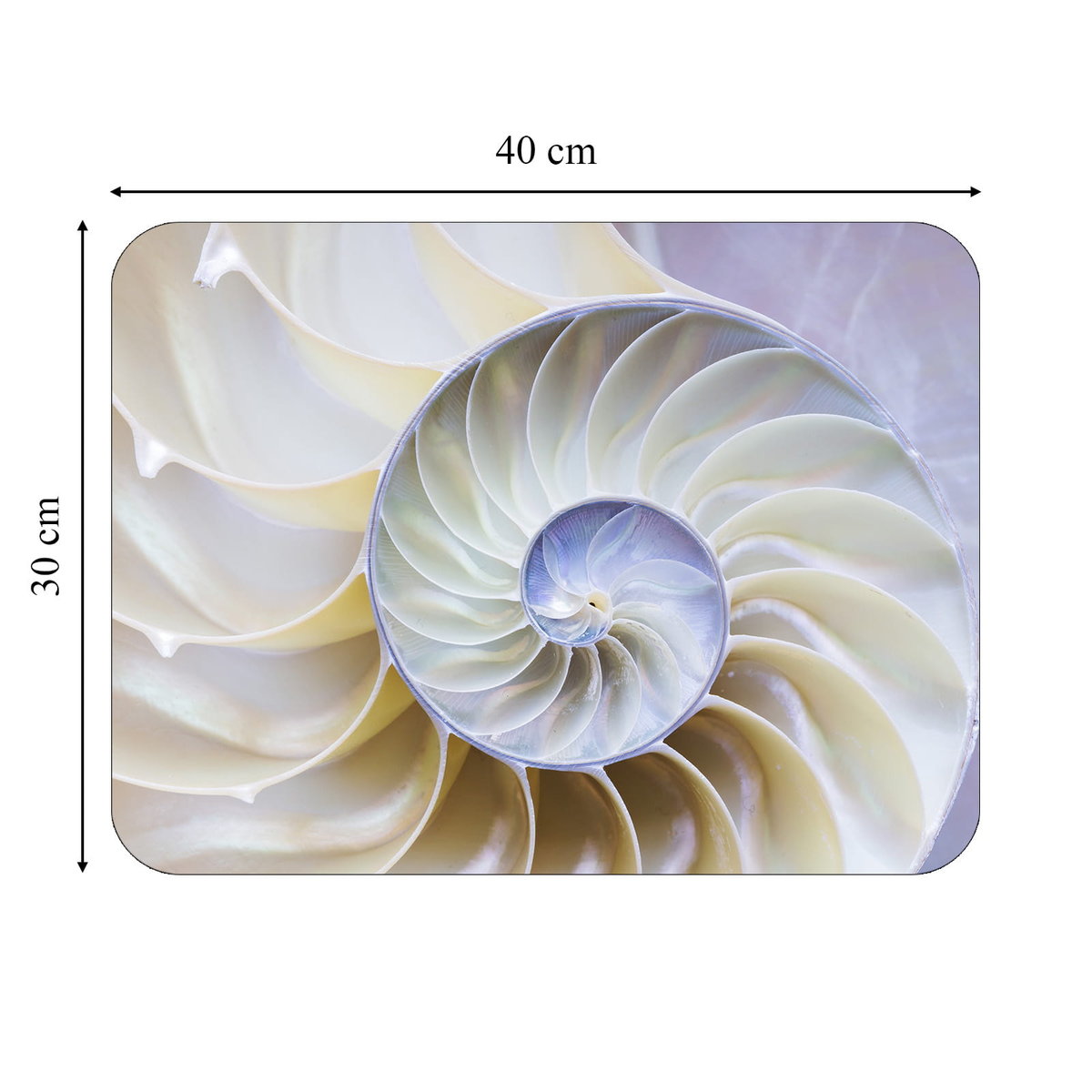 Twarda podk adka korkowa z nadrukiem w rozmiarze 30x40 cm - Spiral Shell - MGDesign | Sklep ...