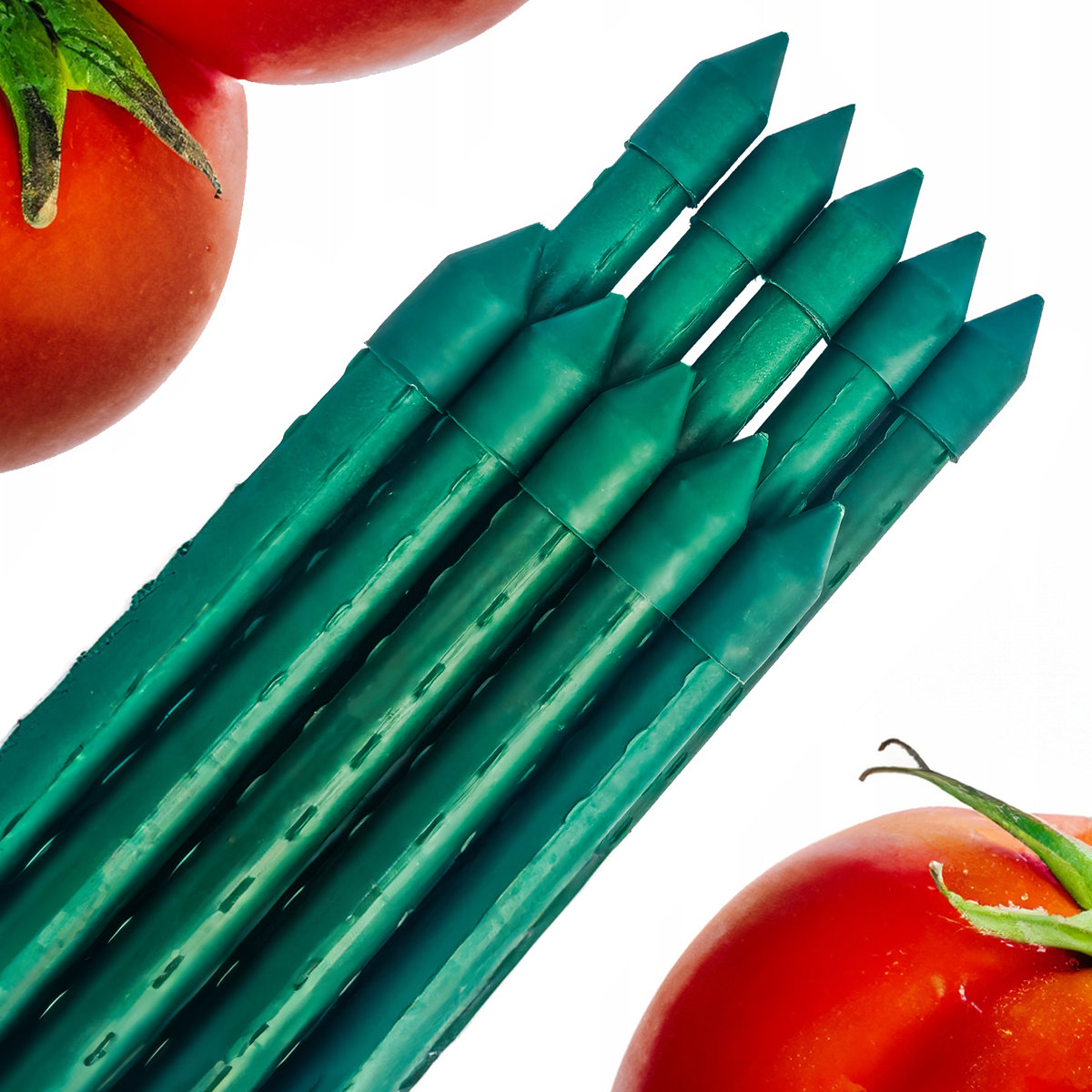 Tyczki do roślin powlekanych 11/180 cm - 10 SZT. - Inna marka | Sklep EMPIK.COM