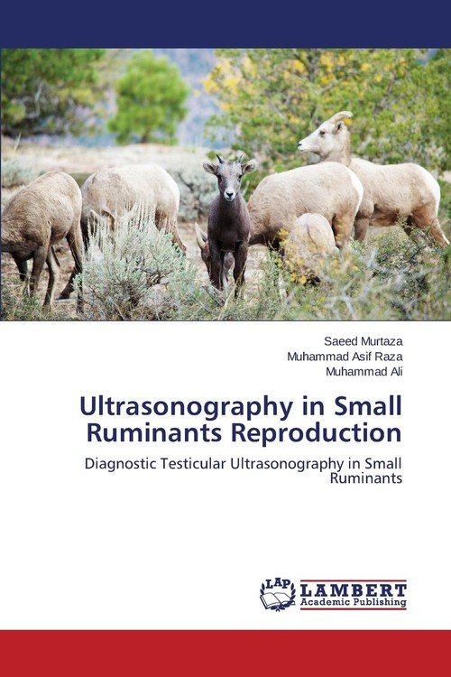 Ultrasonography in Small Ruminants Reproduction - Murtaza Saeed ...