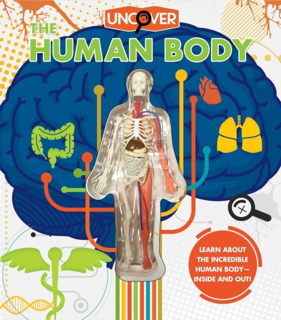 Uncover the Human Body - Colombo Luann | Książka w Empik