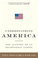 Understanding America - Ingram Publisher Services Us | Książka w Empik