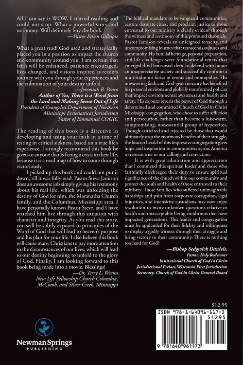 Unfolding Destiny - Jamison Steve | Książka w Empik