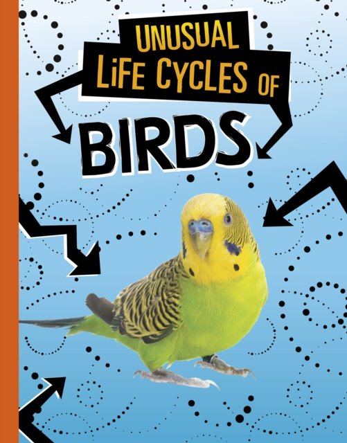Unusual Life Cycles of Birds - Jaclyn Jaycox | Książka w Empik