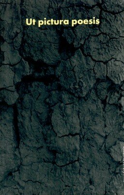 Ut Pictura Poesis - Opracowanie zbiorowe | Książka w Empik