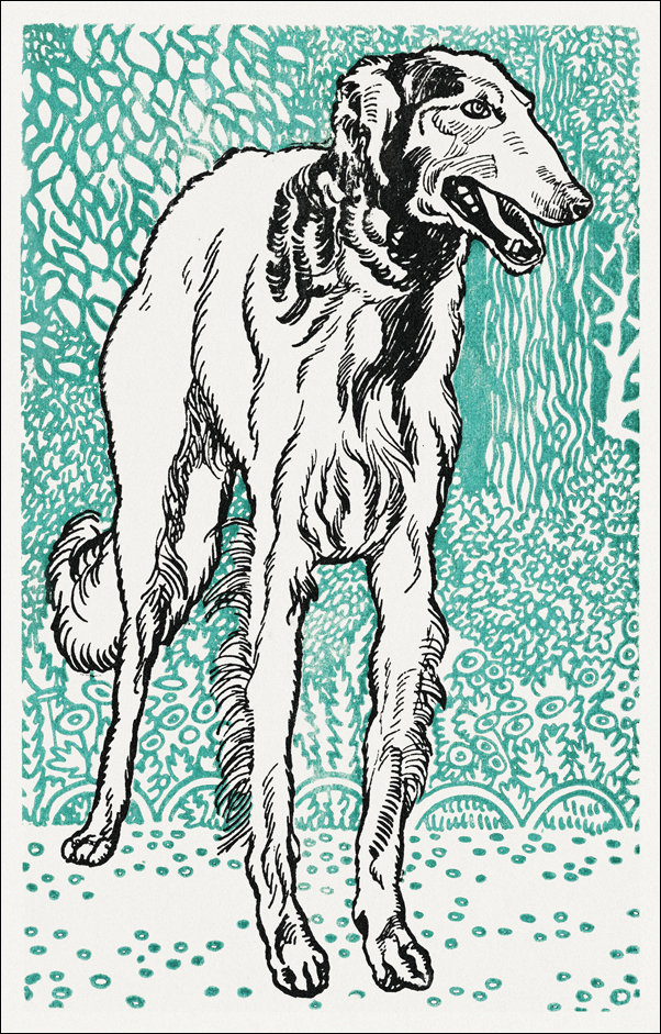 Variety Act 1: Maxi the Ichthyosaurus Turned Man, Moriz Jung - plakat 61x91,5 cm - Galeria ...