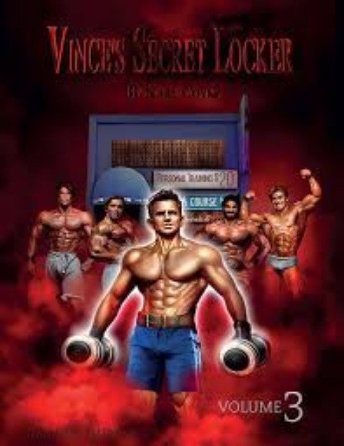 Vinces Secret Locker - Opracowanie zbiorowe | Książka w Empik