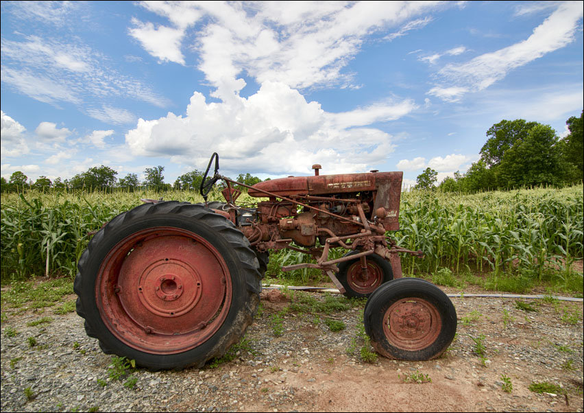Vintage tractor beside a cornfield near in Habersham County, Georgia ...