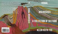 Visual Discoveries A Collection of Sections - Allen Keith Yee | Książka ...