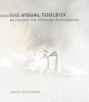 Visual Toolbox, The [DRM] - ebook PDF - Duchemin David | Ebook Sklep EMPIK.COM