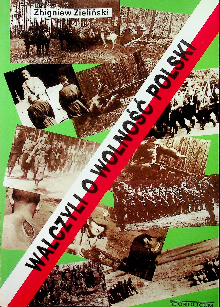 Walczyli o wolność Polski - W opisie | Książka w Empik