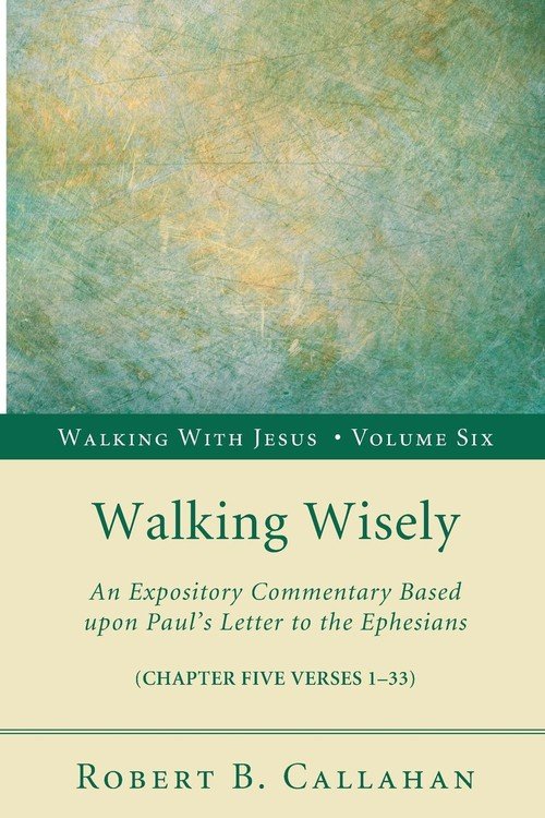 Walking Wisely - Callahan Robert B. Sr. | Książka w Empik