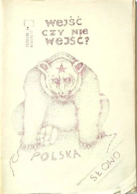 Wejść czy nie wejść - W opisie | Książka w Empik