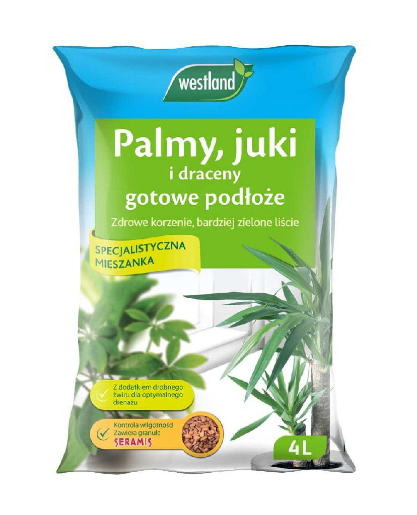 Westland Podłoże ziemia do palm juk dracen 4L - WESTLAND | Sklep EMPIK.COM