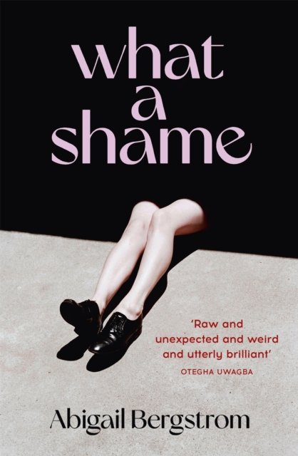 What a Shame A dazzling, bold and funny debut - Abigail Bergstrom ...