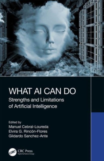 What AI Can Do: Strengths and Limitations of Artificial Intelligence ...