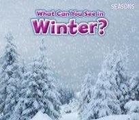 What Can You See in Winter? - Smith Sian | Książka w Empik