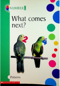 What Comes Next Mathematics Focus - Scholastic Ltd. | Książka w Empik