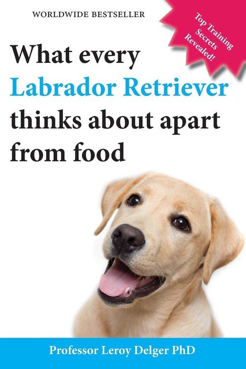 What Every Labrador Retriever Thinks about Apart from Food (Blank ...