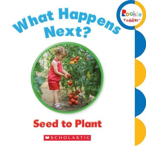 What Happens Next? Seed to Plant (Rookie Toddler) - Opracowanie ...