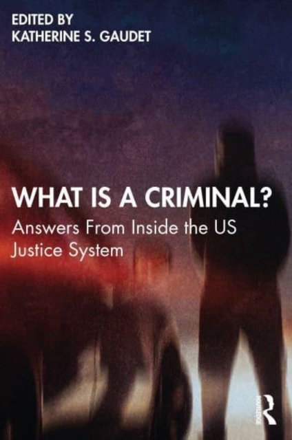 What Is a Criminal?: Answers From Inside the US Justice System ...