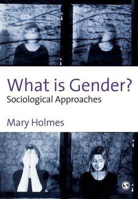 What is Gender? - Holmes Mary | Książka w Empik