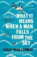What It Means When A Man Falls From The Sky - Arimah Lesley Nneka ...