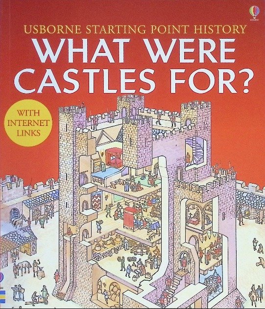 What Were Castles For - Opracowanie zbiorowe | Książka w Empik