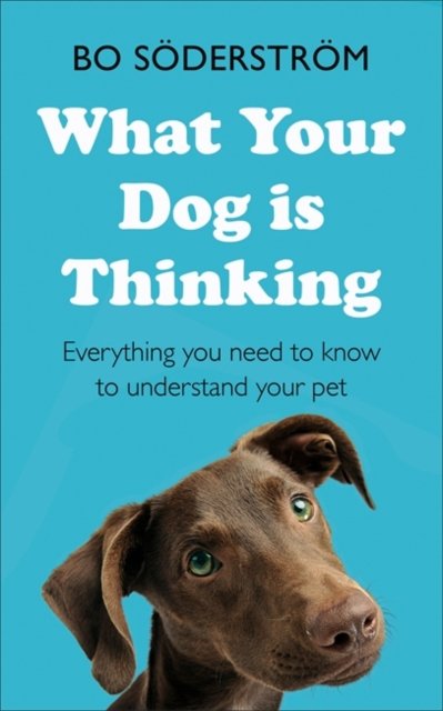 What Your Dog is Thinking: Everything You Need To Know To Understand ...