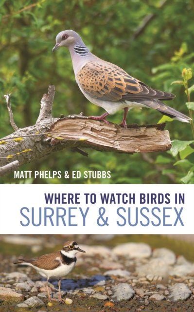 Where to Watch Birds, Where to Watch Birds in Surrey and Sussex - Ed ...