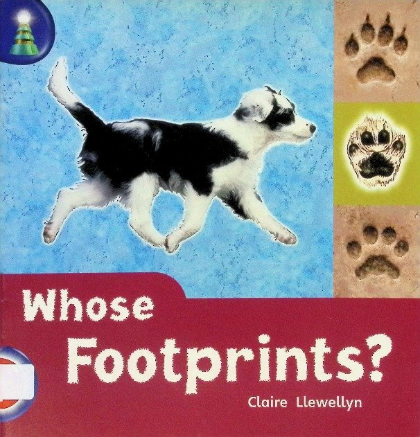 Whose Footprints? - Llewellyn Claire | Książka w Empik