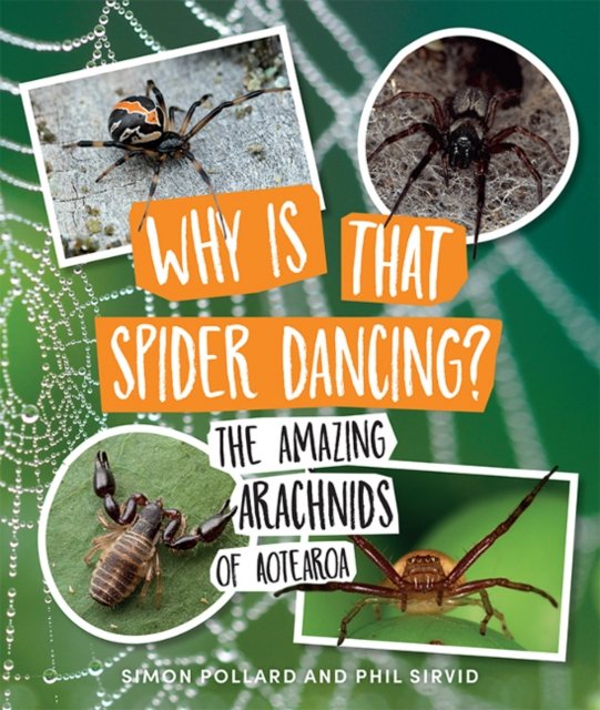 Why Is That Spider Dancing?: The Amazing Arachnids of Aotearoa - Simon ...