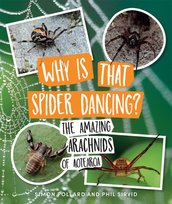 Why Is That Spider Dancing?: The Amazing Arachnids of Aotearoa - Simon ...