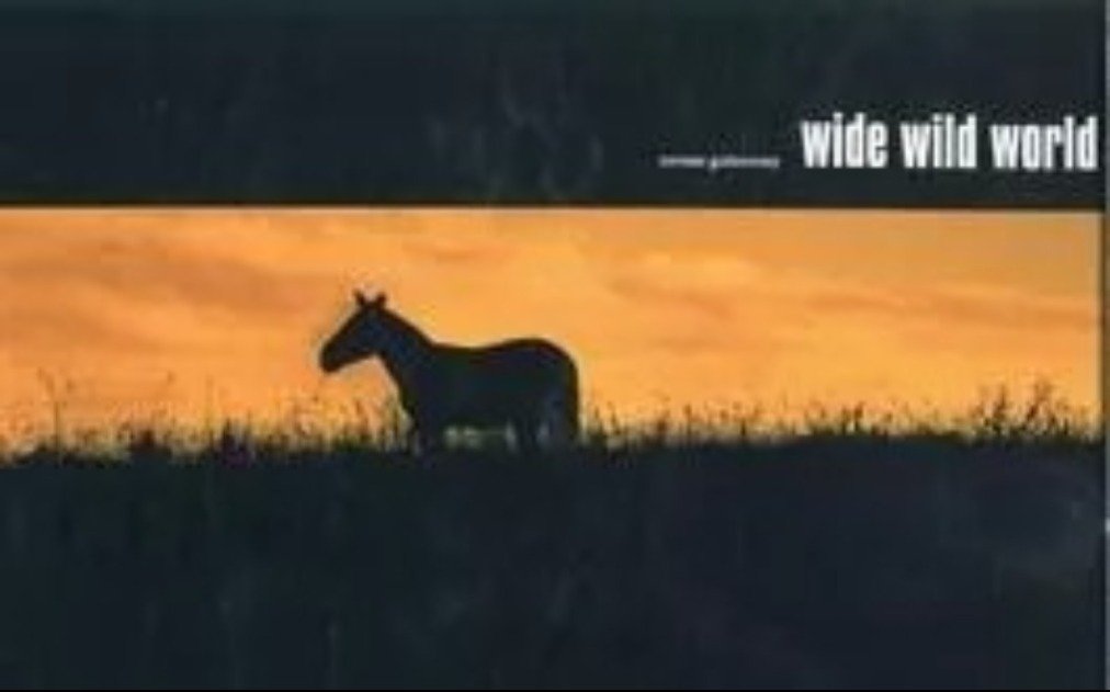 Wide Wild Word - W opisie | Książka w Empik