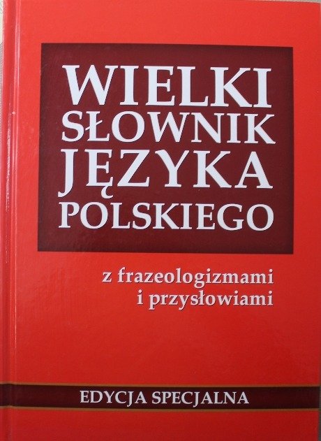 Wielki słownik języka polskiego - Opracowanie zbiorowe | Książka w Empik