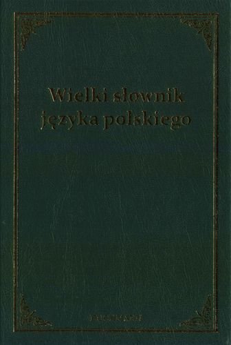 Wielki słownik języka polskiego - Opracowanie zbiorowe | Książka w Empik