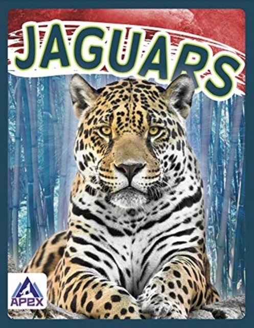 Wild Cats: Jaguars - Sophie Geister-Jones | Książka w Empik