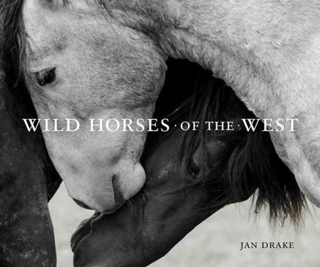 Wild Horses of the West - Jan Drake | Książka w Empik