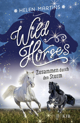Wild Horses - Zusammen durch den Sturm - FISCHER FJB | Książka w Empik