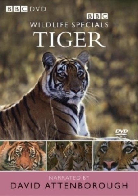 Wildlife Special: Tiger - The Elusive Princess (brak polskiej wersji językowej) - Various ...