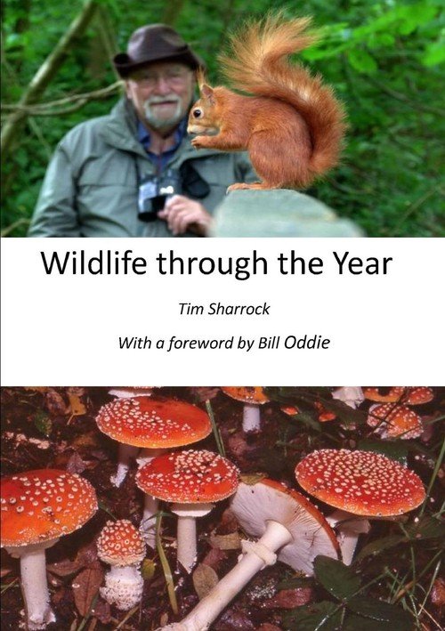 Wildlife Through the Year - Sharrock Tim | Książka w Empik