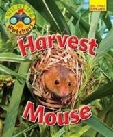 Wildlife Watchers: Harvest Mouse - Ruby Tuesday Books | Książka w Empik