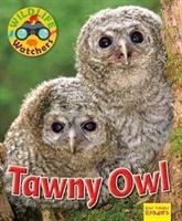 Wildlife Watchers: Tawny Owl - Ruby Tuesday Books | Książka w Empik