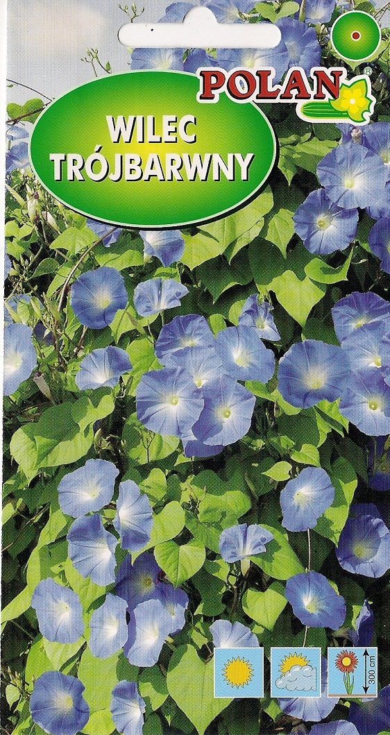 Wilec trójbarwny Heavenly Blue Niebieski 2 g POLAN - Inna marka | Sklep ...