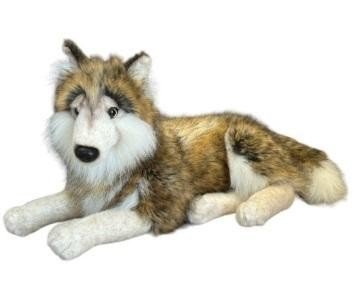 Wilk 61cm - Inna marka | Sklep EMPIK.COM