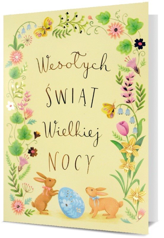 WN K. STAR-114 - Pan Dragon | Sklep EMPIK.COM