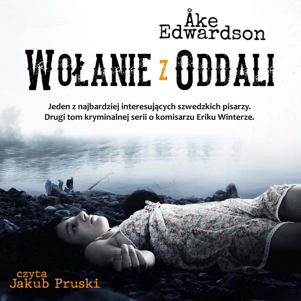 Wołanie z oddali. Komisarz Erik Winter. Tom 2 - audiobook - Edwardson ...