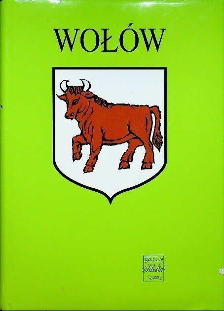Wołów zarys monografii miasta - Opracowanie zbiorowe | Książka w Empik