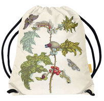 Worek metamorfoza owadów surinamensium maria sibylla merian-standard ...