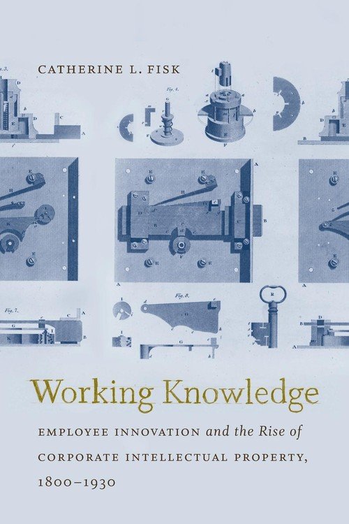Working Knowledge - Fisk Catherine L. | Książka w Empik
