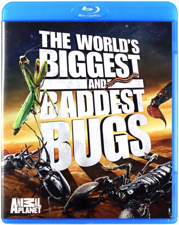 World's Biggest and Baddest Bugs - Various Directors| Filmy Sklep EMPIK.COM